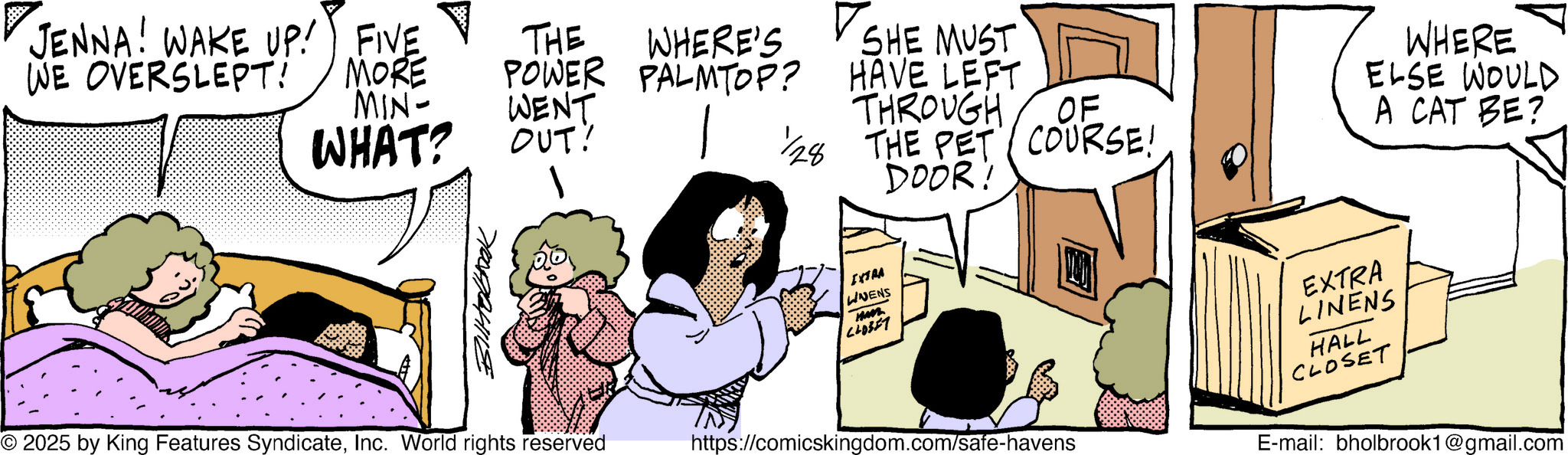Safe Havens Comic Strip 2025-01-28 | Comics Kingdom