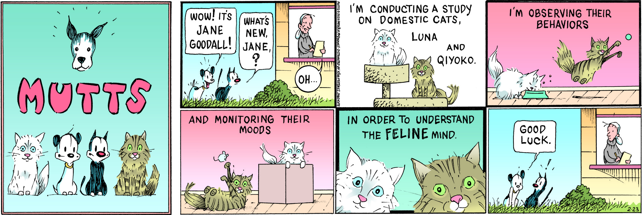 Mutts Comic Strip 2025-02-23 | Comics Kingdom