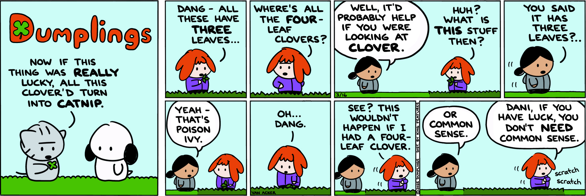 Dumplings Comic Strip 2025-03-16 | Comics Kingdom