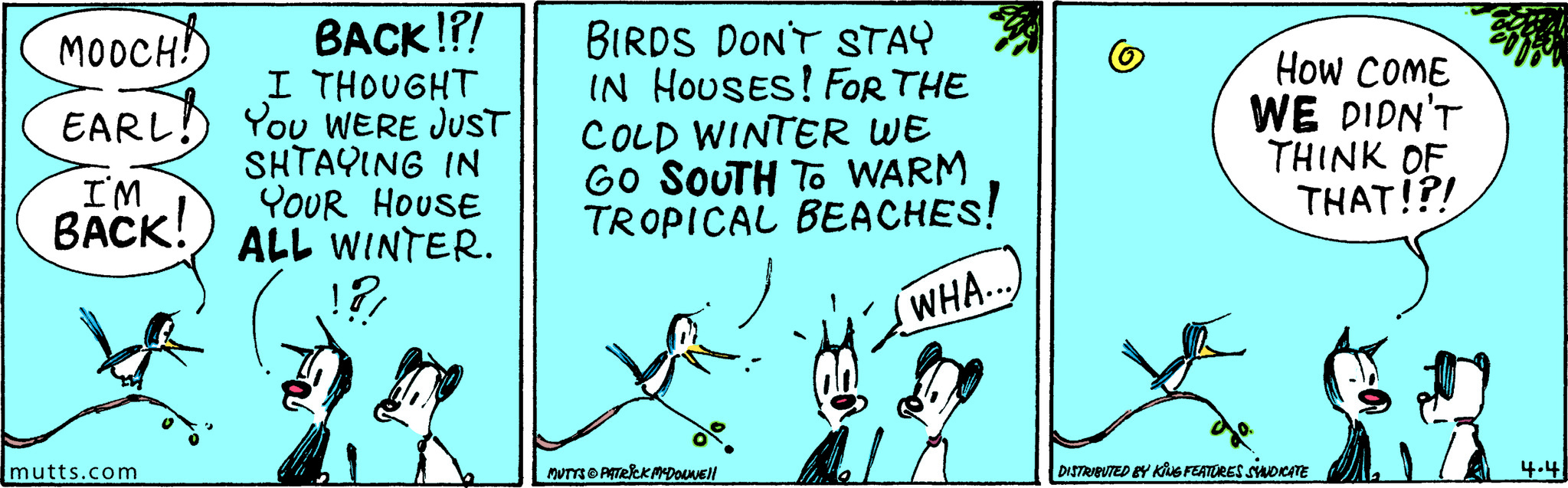 Mutts Comic Strip 2025-04-04 | Comics Kingdom