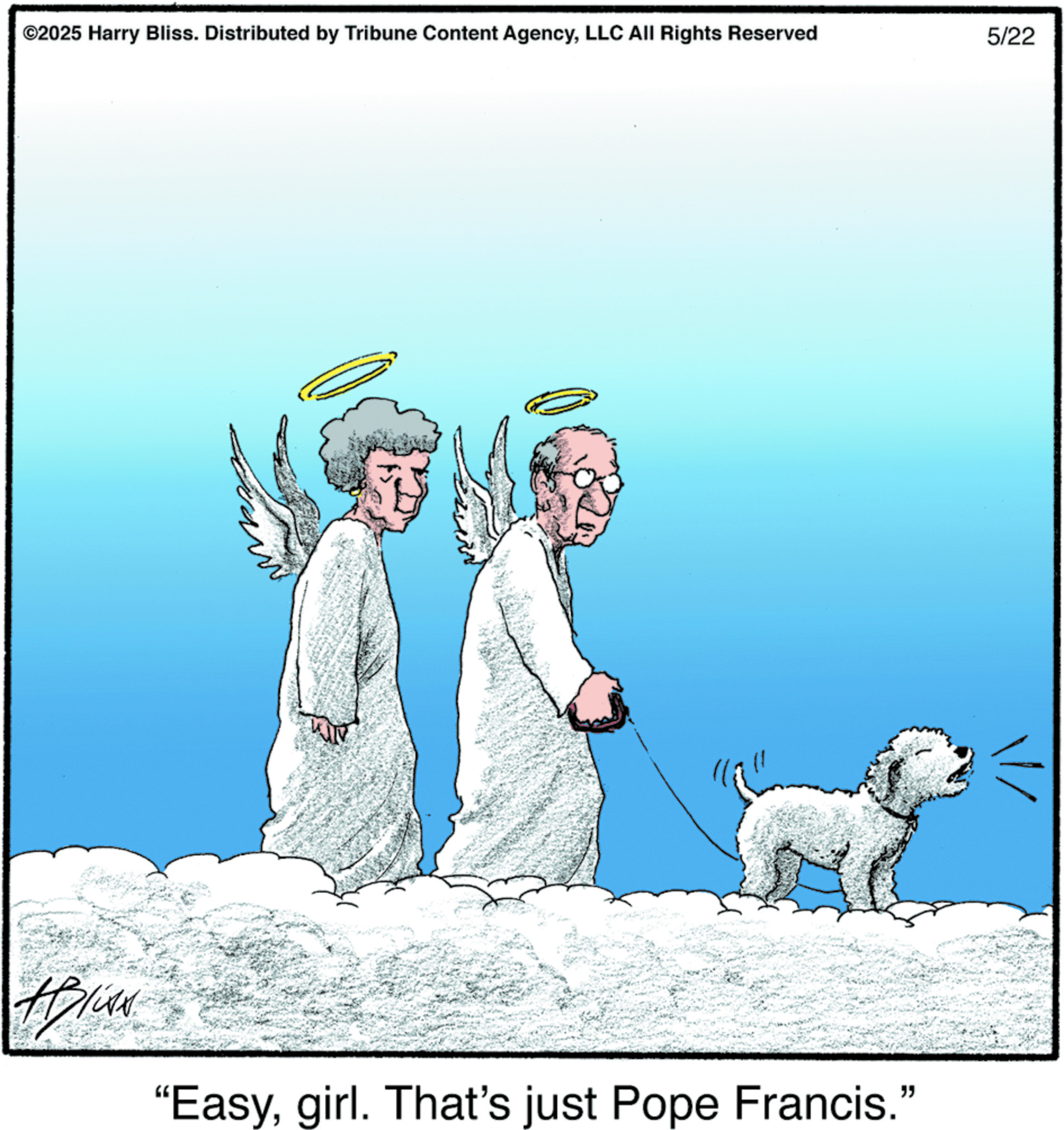 Bliss Comic Strip 2025-05-22 | Comics Kingdom