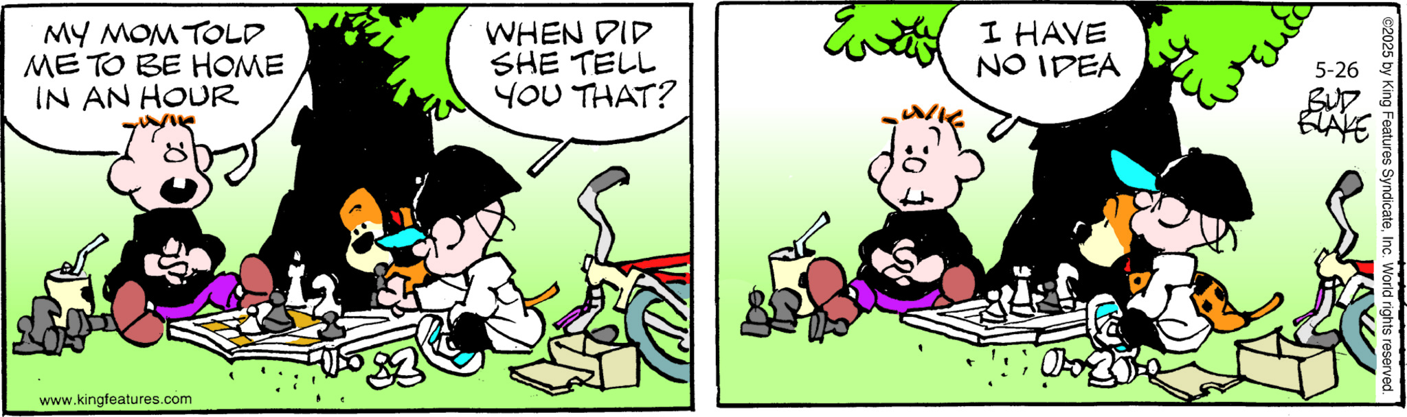 Tiger Comic Strip 2025-05-26 | Comics Kingdom