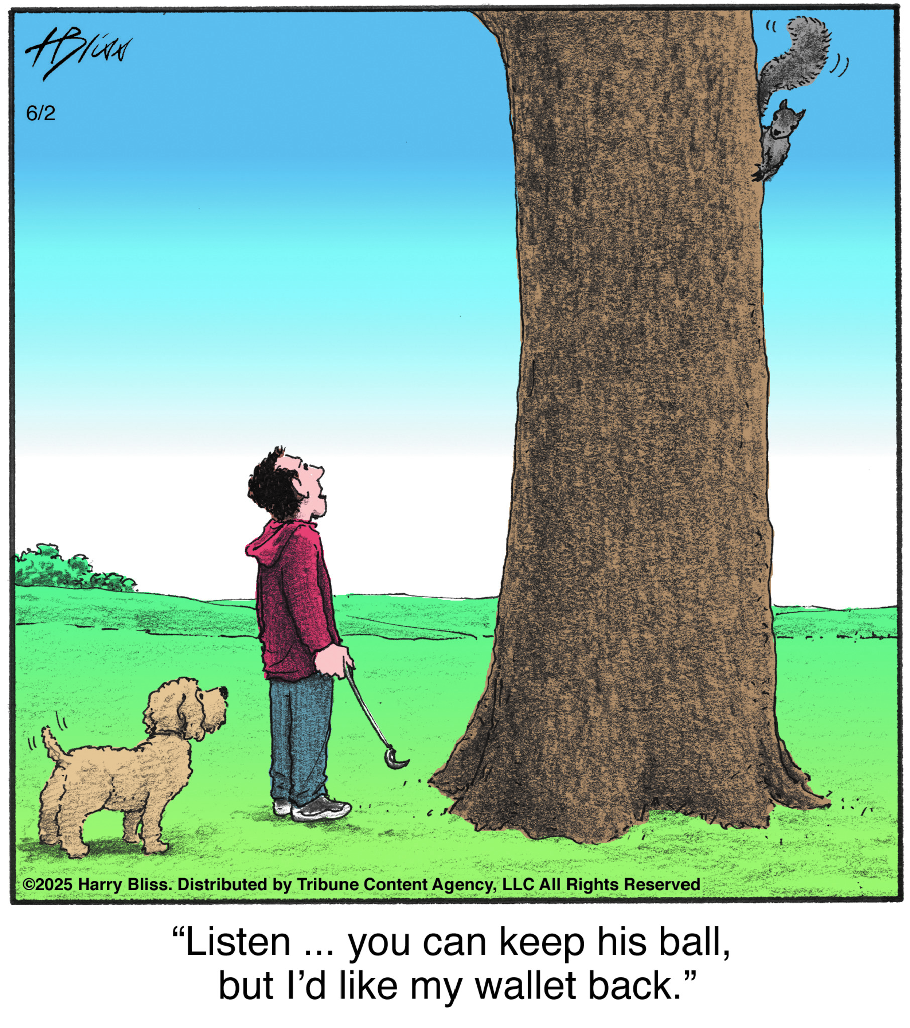 Bliss Comic Strip 2025-06-02 | Comics Kingdom