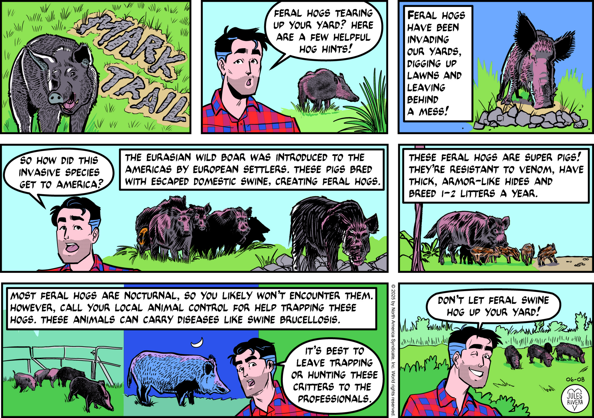 Mark Trail Comic Strip 2025-06-08 | Comics Kingdom