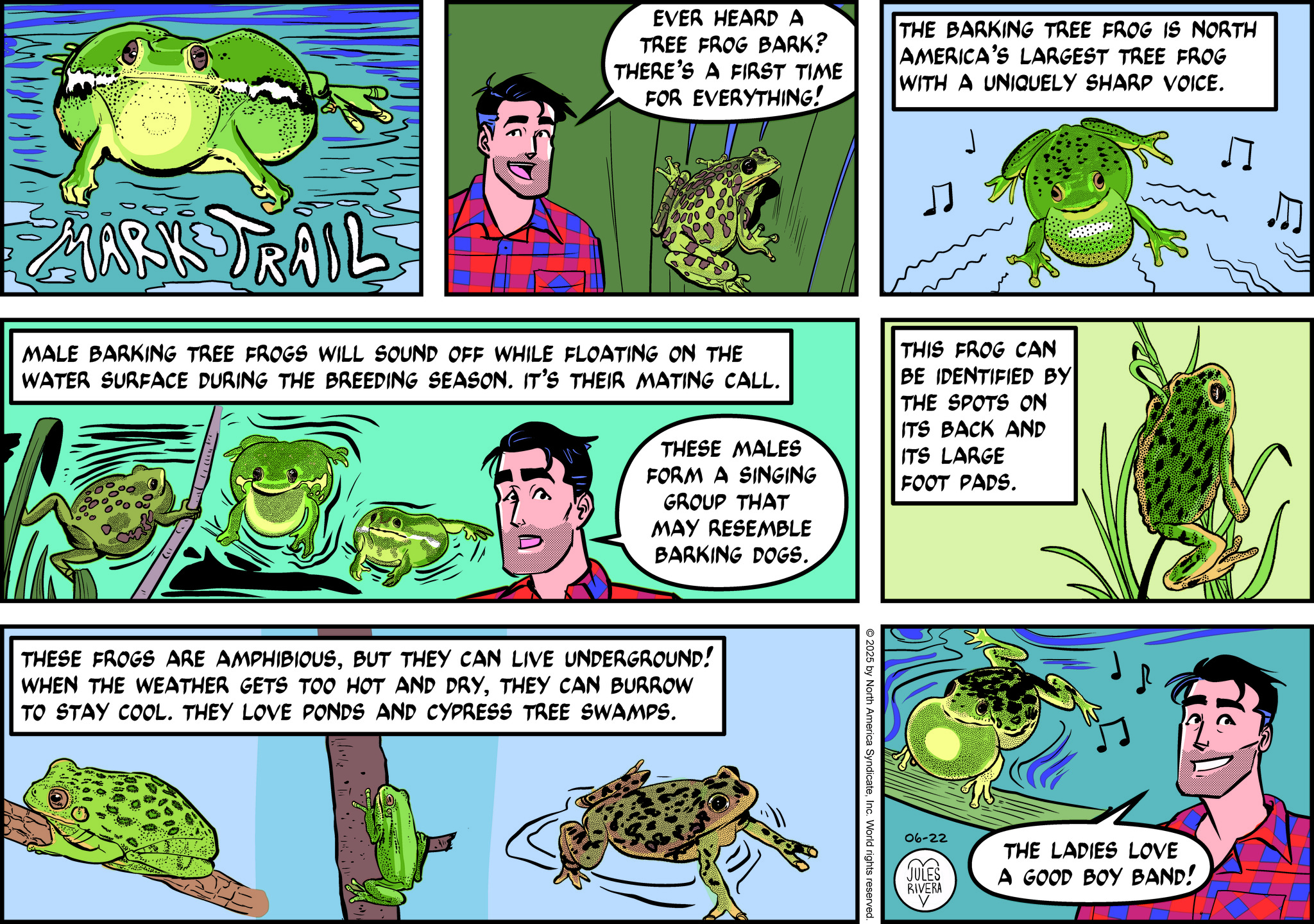 Mark Trail Comic Strip 2025-06-22 | Comics Kingdom