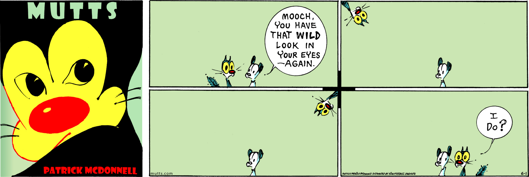 Mutts Comic Strip 2025-06-01 | Comics Kingdom