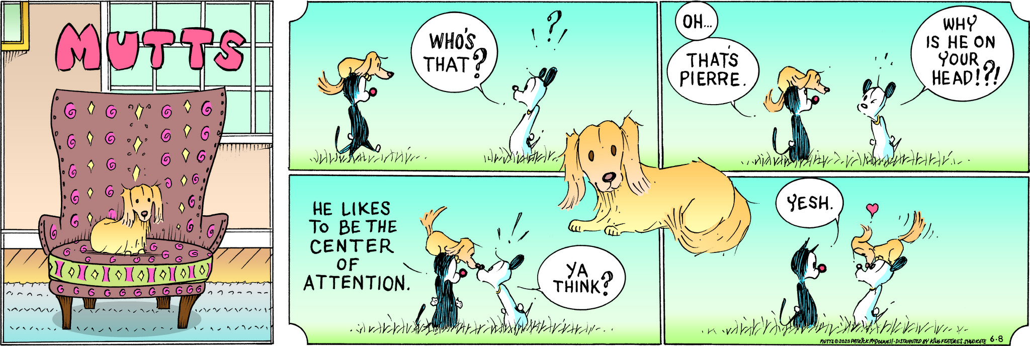 Mutts Comic Strip 2025-06-08 | Comics Kingdom