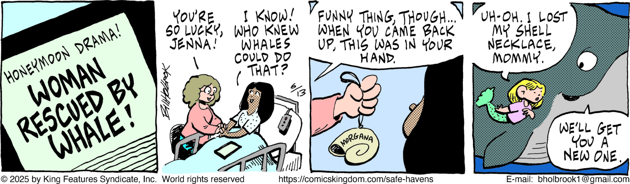 Safe Havens Comic Strip 2025-06-13 | Comics Kingdom