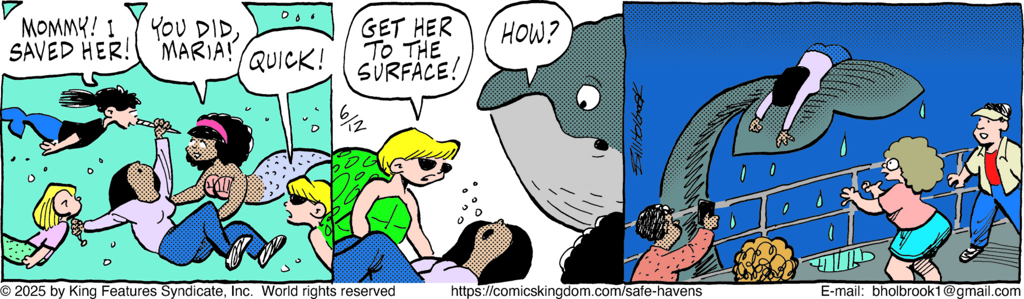 Safe Havens Comic Strip 2025-06-12 | Comics Kingdom