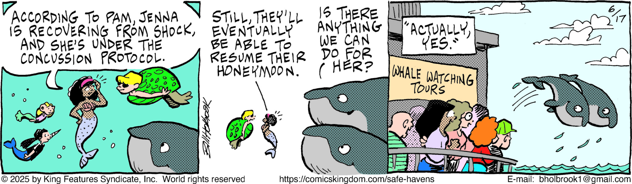 Safe Havens Comic Strip 2025-06-17 | Comics Kingdom