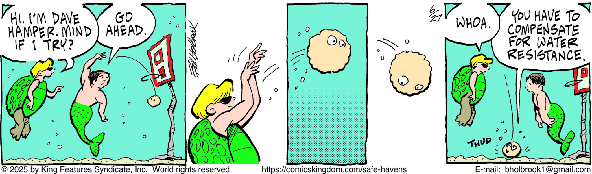 Safe Havens Comic Strip 2025-06-27 | Comics Kingdom
