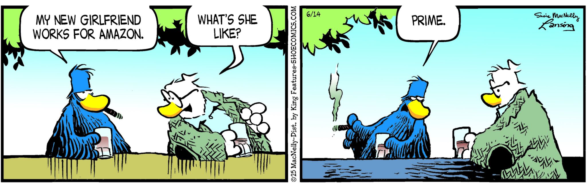 Shoe Comic Strip 2025-06-14 | Comics Kingdom