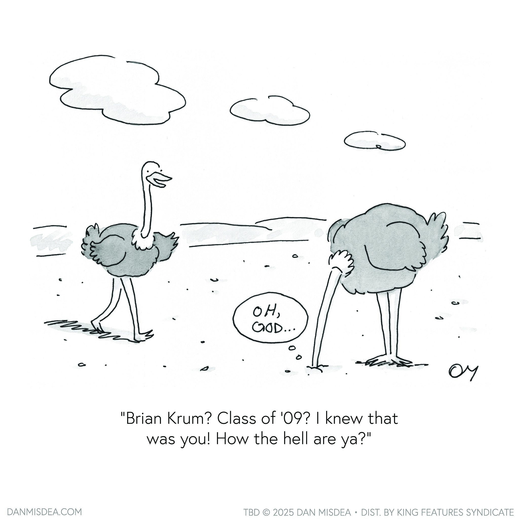 TBD (Toons By Dan) Comic Strip 2025-06-24 | Comics Kingdom
