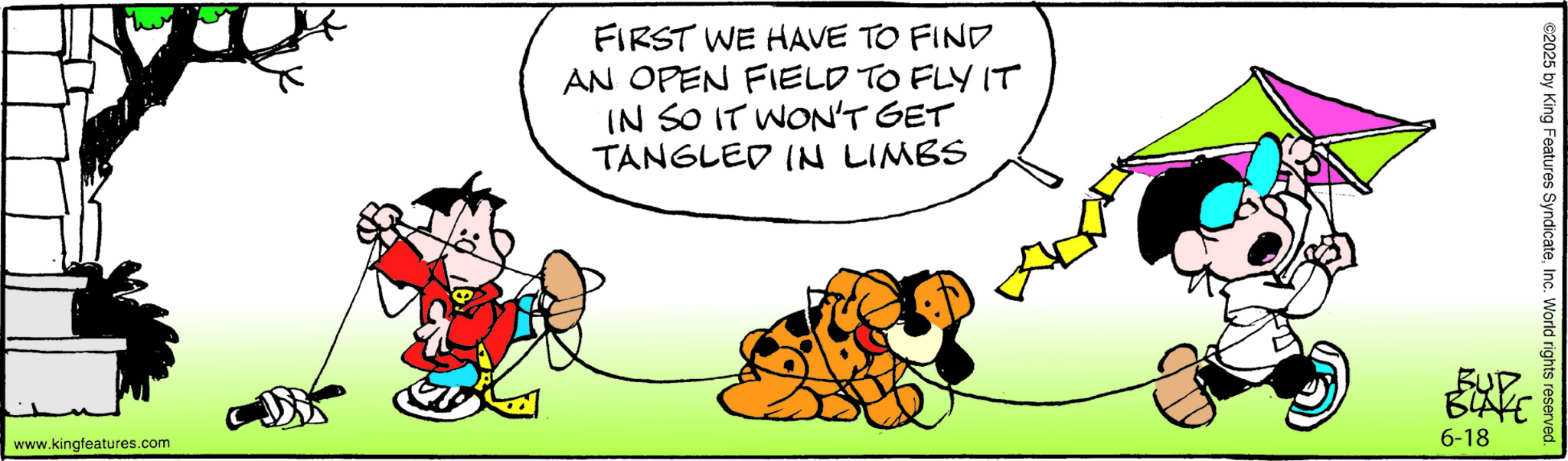 Tiger Comic Strip 2025-06-18 | Comics Kingdom