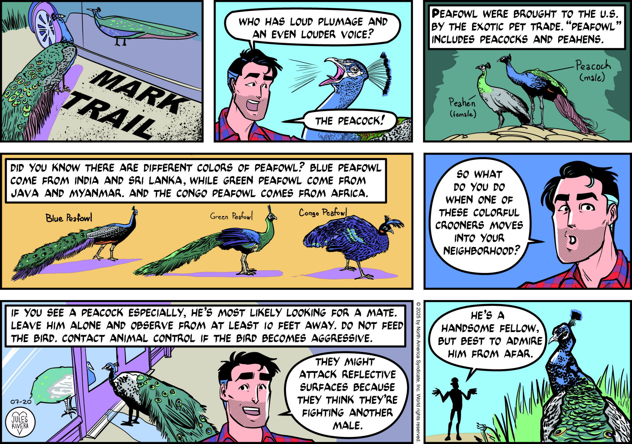 Mark Trail Comic Strip 2025-07-20 | Comics Kingdom