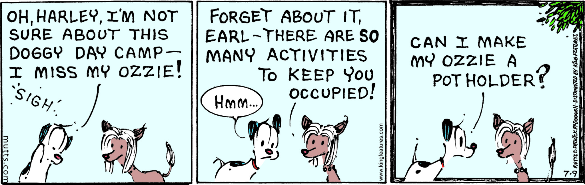 Mutts Comic Strip 2025-07-09 | Comics Kingdom