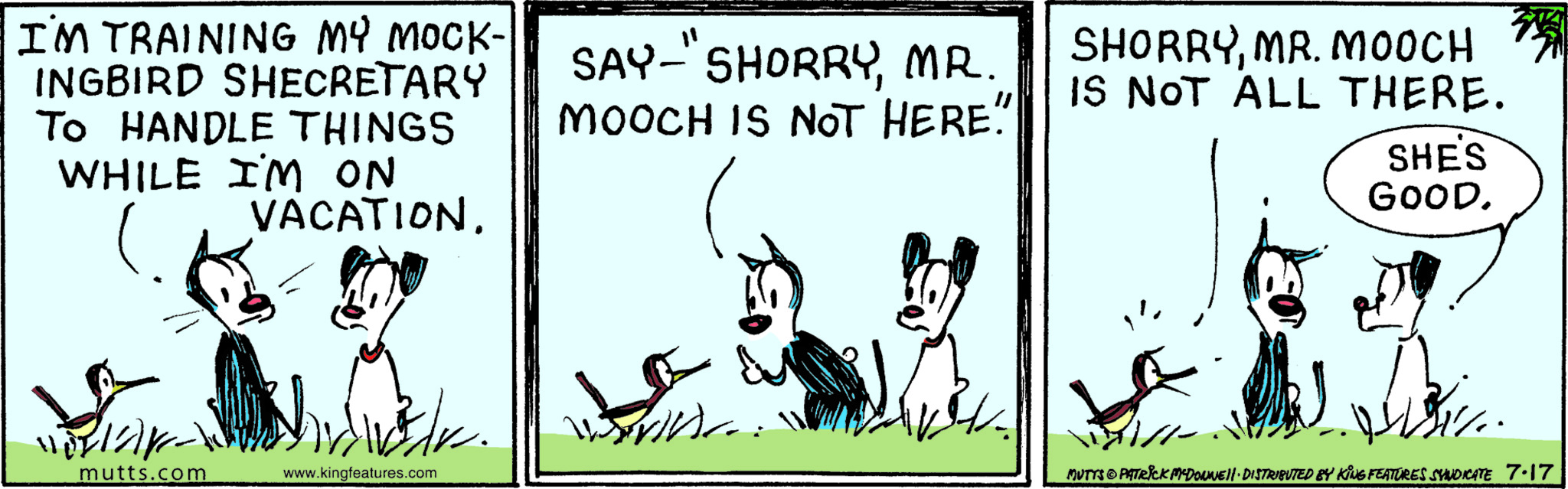 Mutts Comic Strip 2025-07-17 | Comics Kingdom