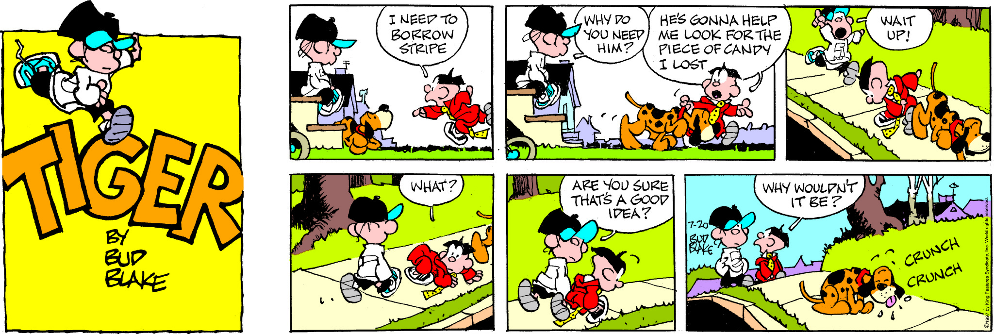 Tiger Comic Strip 2025-07-20 | Comics Kingdom