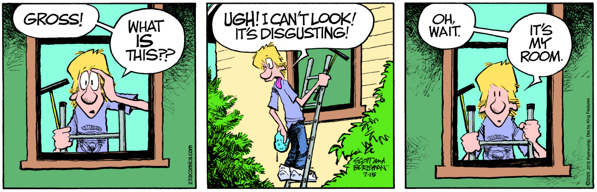 Zits Comic Strip 2025-07-15 | Comics Kingdom