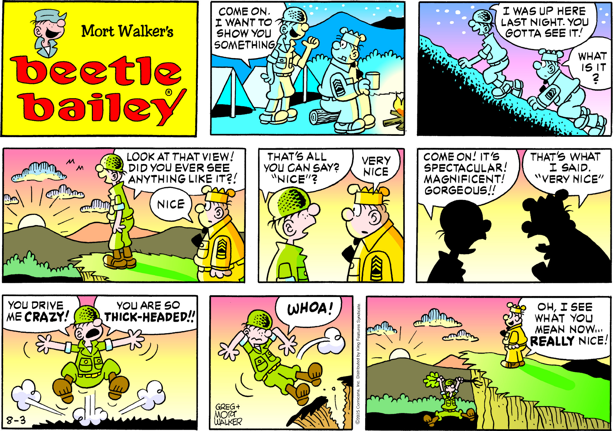 Beetle Bailey Comic Strip 2025-08-03 | Comics Kingdom