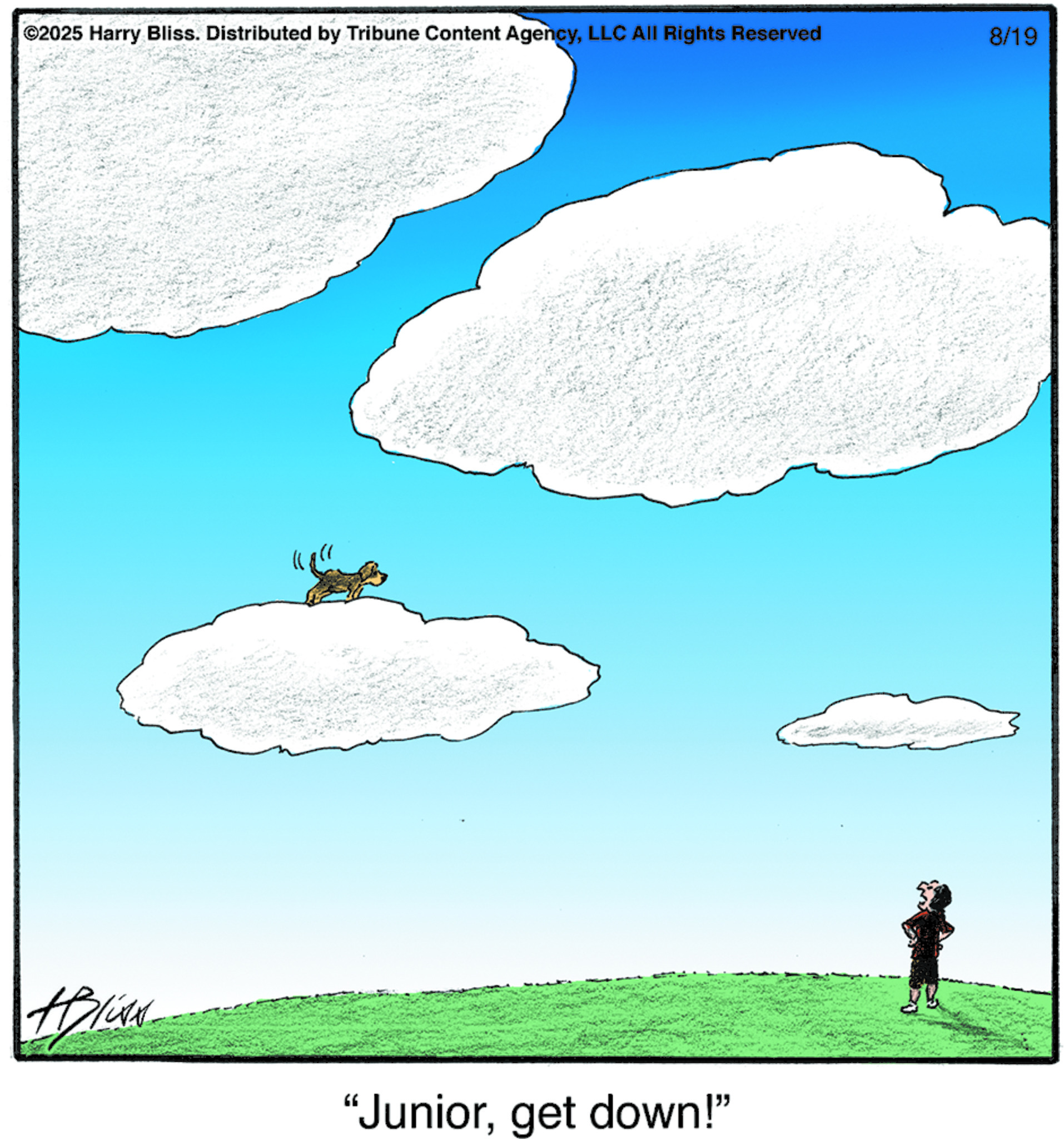 Bliss Comic Strip 2025-08-19 | Comics Kingdom