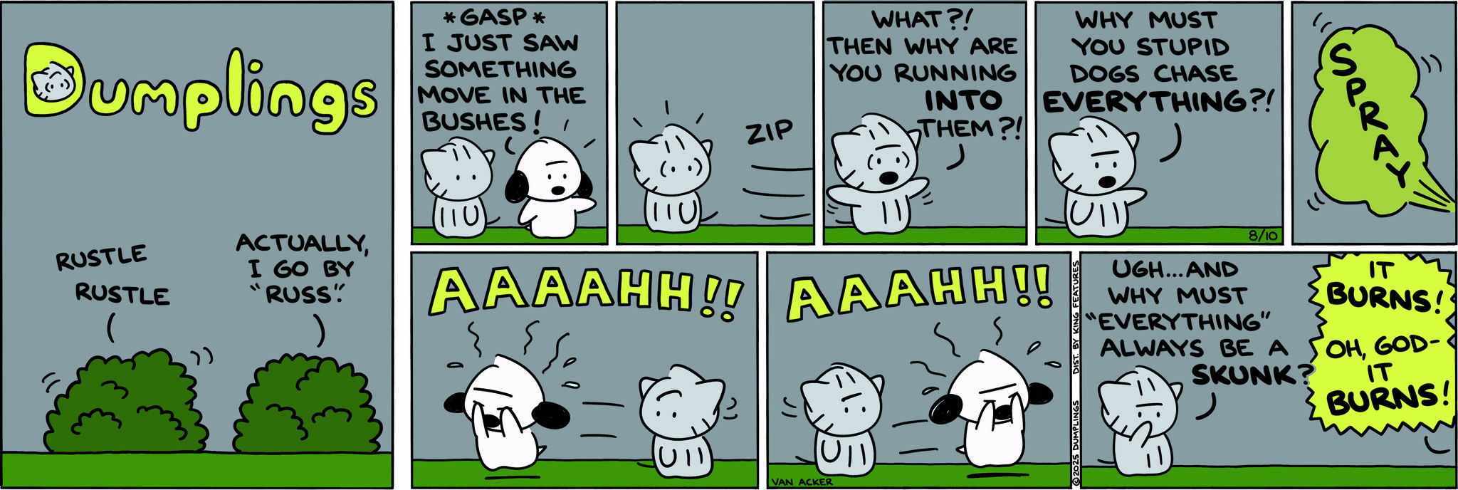 Dumplings Comic Strip 2025-08-10 | Comics Kingdom