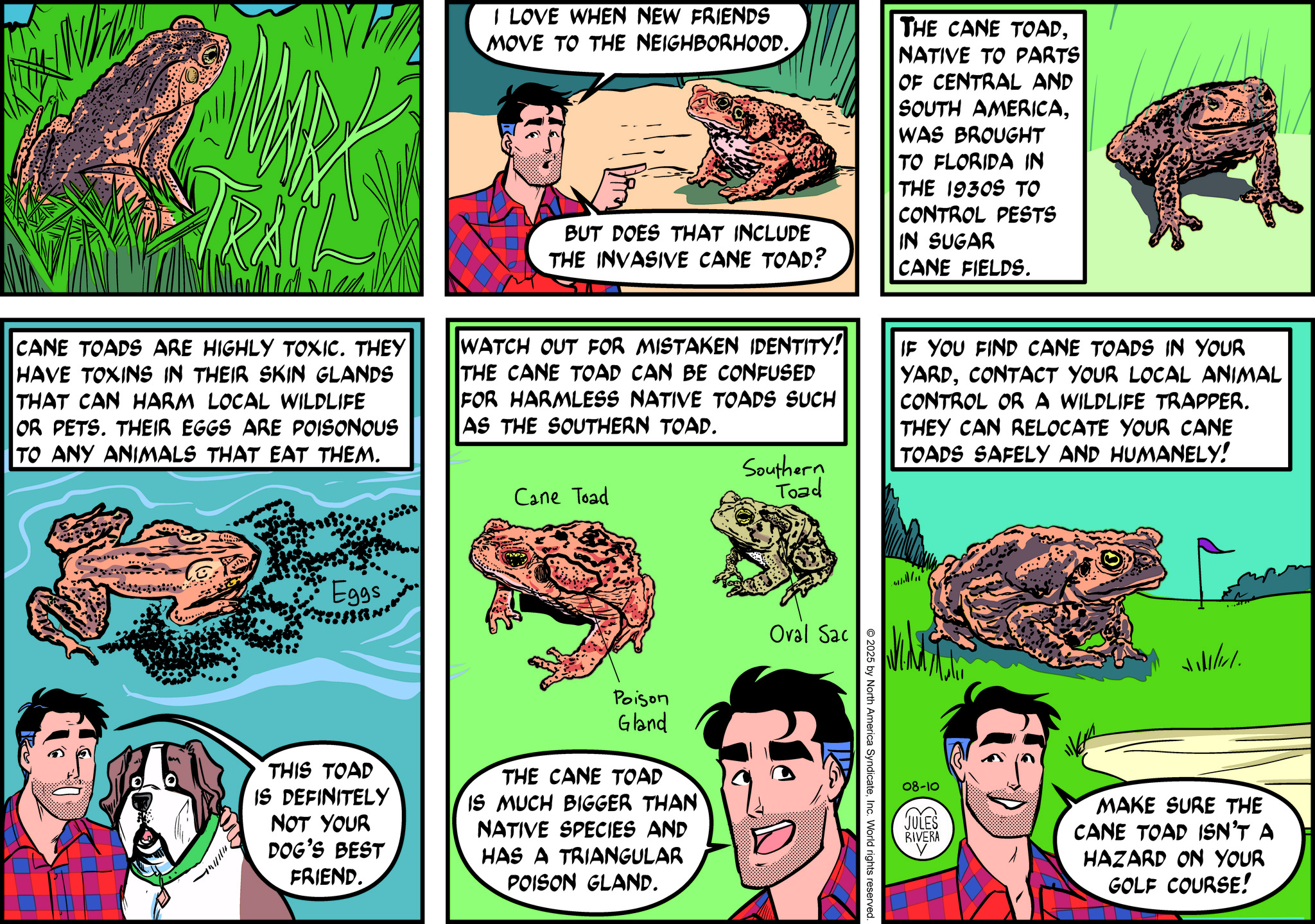 Mark Trail Comic Strip 2025-08-10 | Comics Kingdom