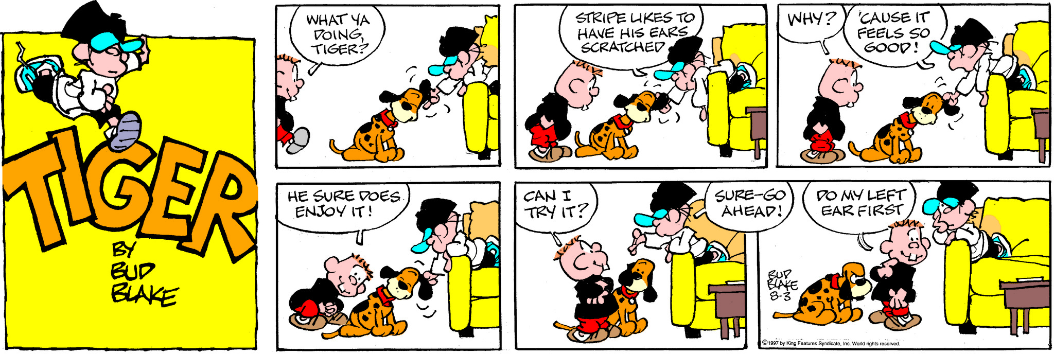 Tiger Comic Strip 2025-08-03 | Comics Kingdom