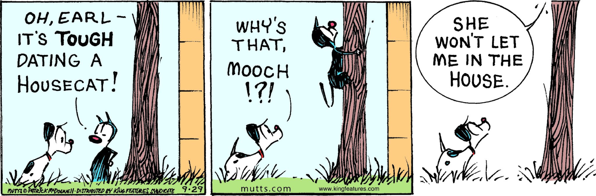 Mutts Comic Strip 2025-09-29 | Comics Kingdom