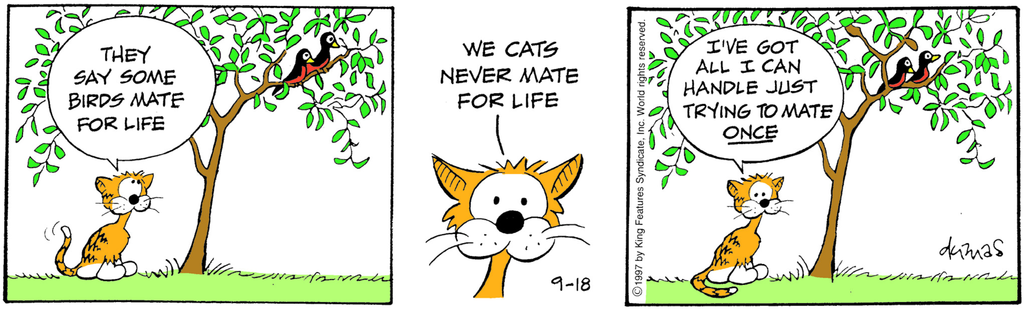 Sam And Silo Comic Strip 2025-09-18 | Comics Kingdom