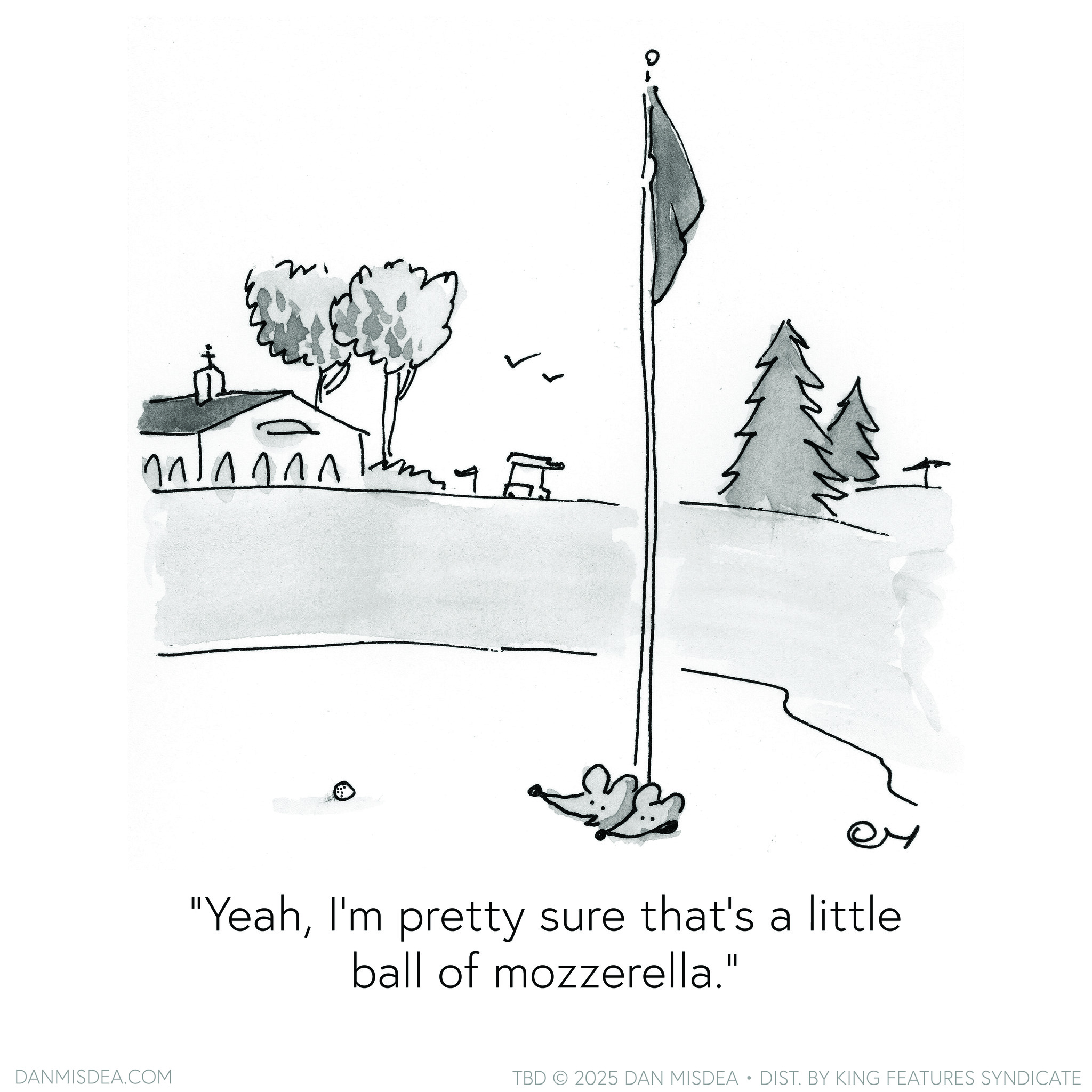 TBD (Toons By Dan) Comic Strip 2025-09-25 | Comics Kingdom