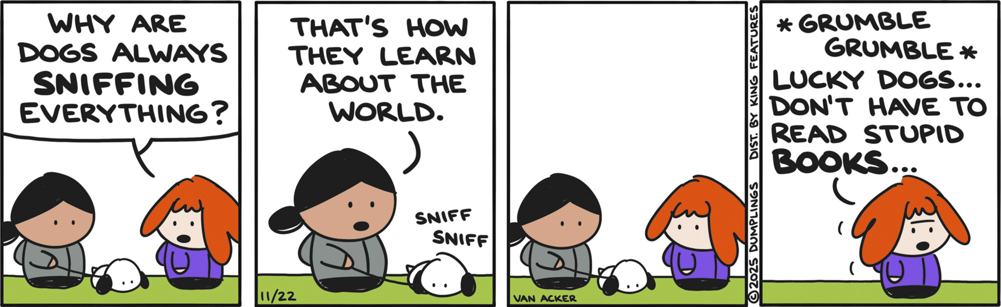 Dumplings Comic Strip 2025-11-22 | Comics Kingdom