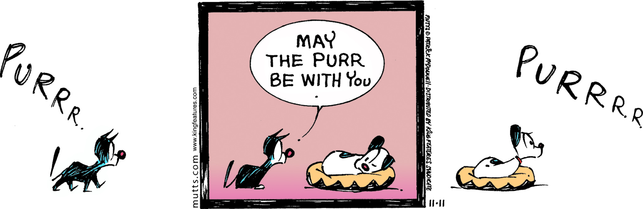 Mutts Comic Strip 2025-11-11 | Comics Kingdom