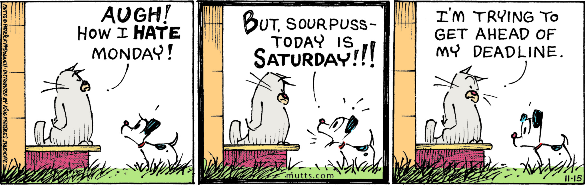 Mutts Comic Strip 2025-11-15 | Comics Kingdom