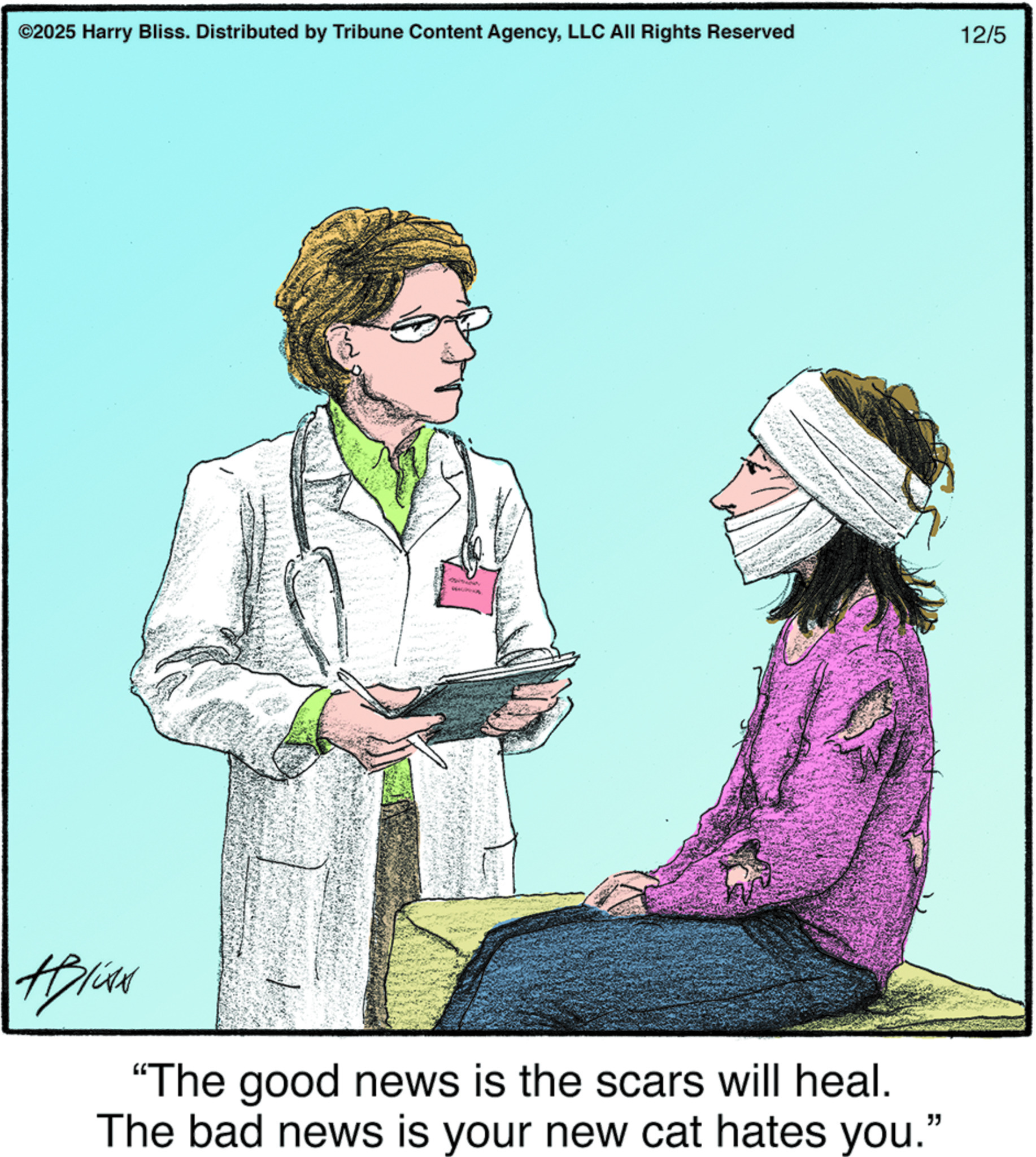 Bliss Comic Strip 2025-12-05 | Comics Kingdom