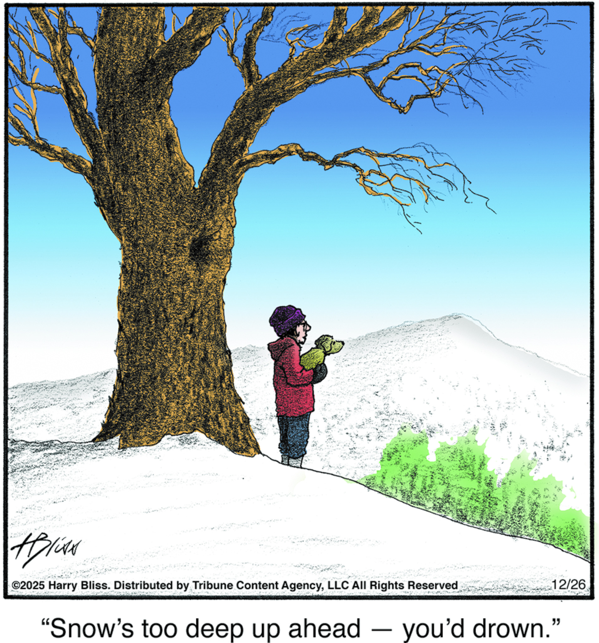 Bliss Comic Strip 2025-12-26 | Comics Kingdom