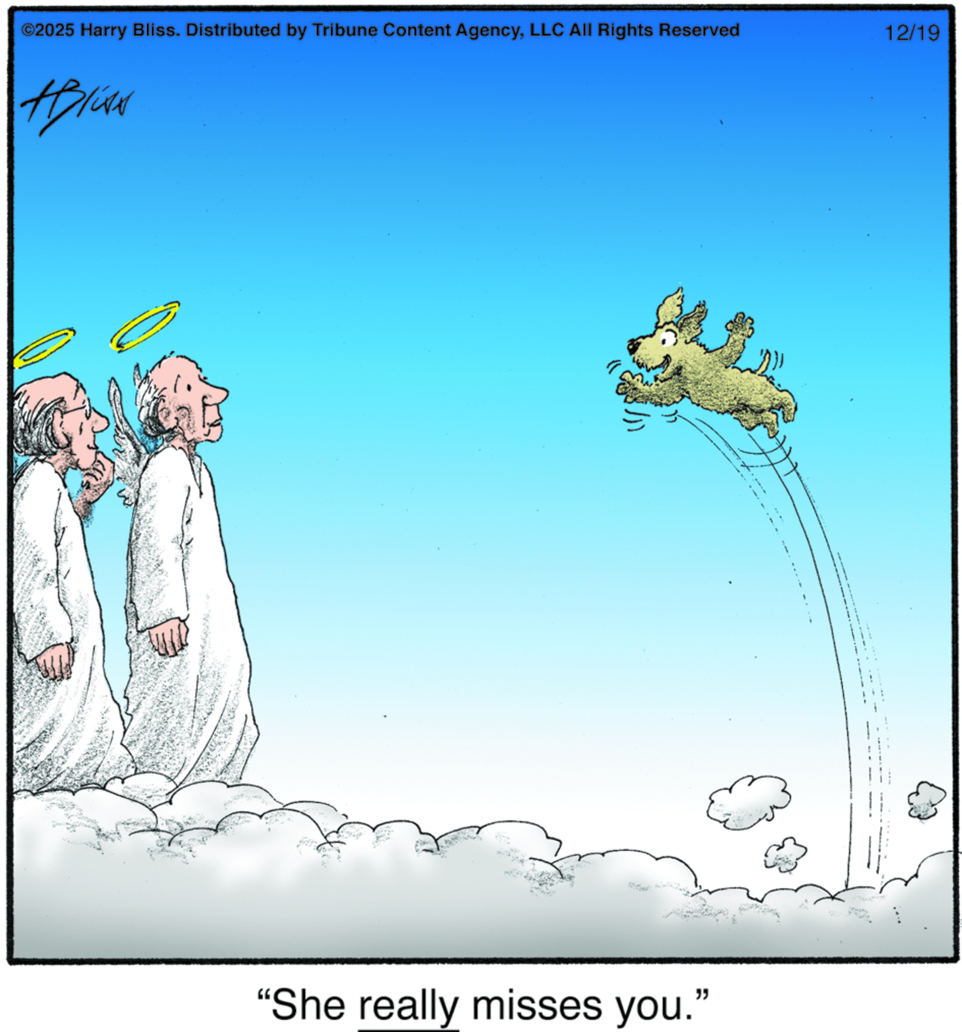 Bliss Comic Strip 2025-12-19 | Comics Kingdom