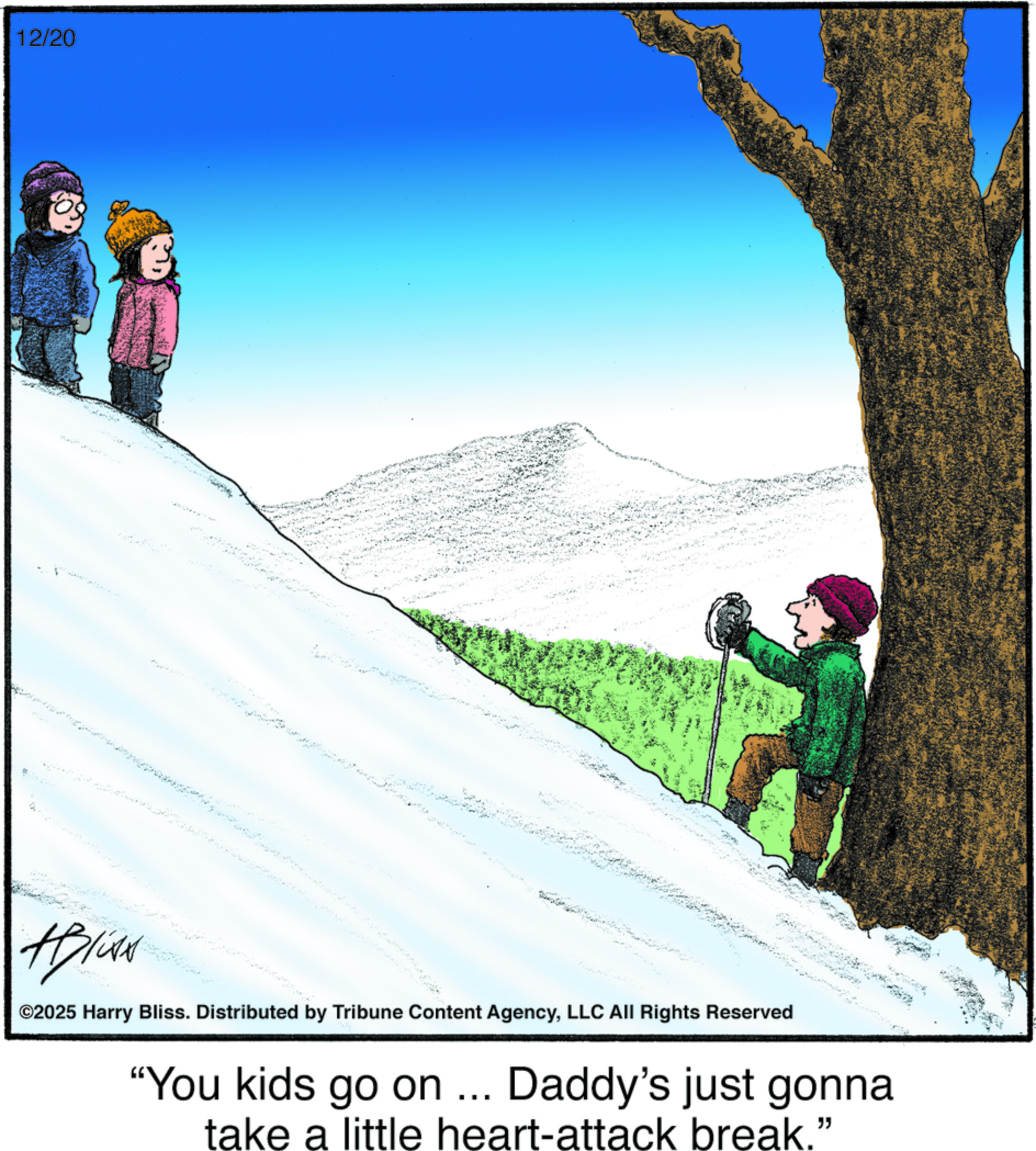 Bliss Comic Strip 2025-12-20 | Comics Kingdom
