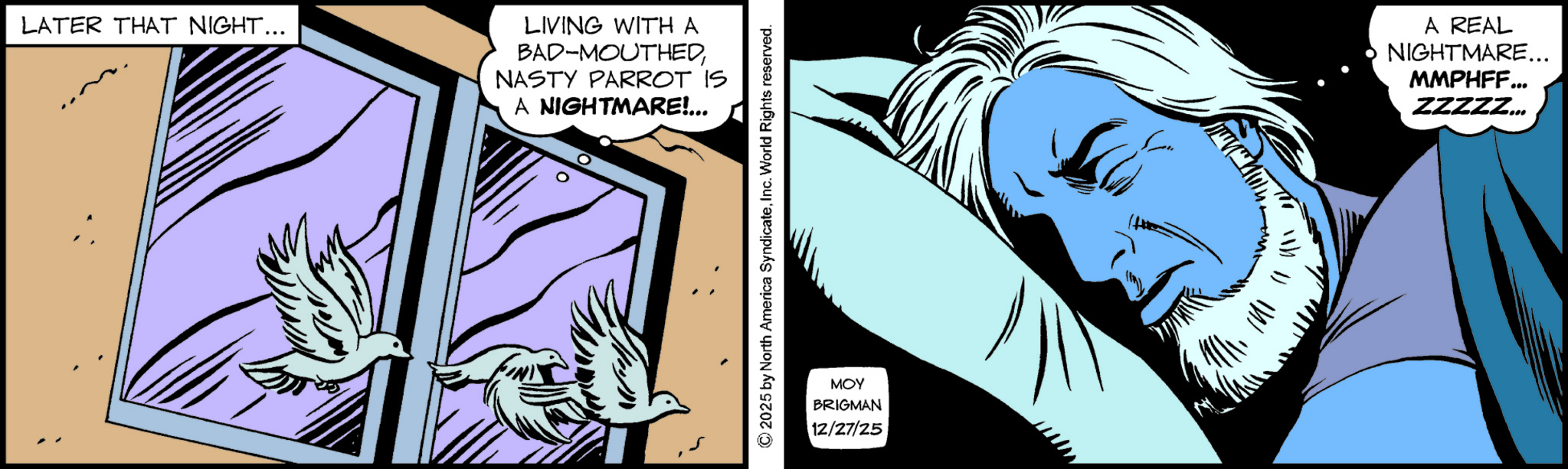 Mary Worth Comic Strip 2025-12-27 | Comics Kingdom