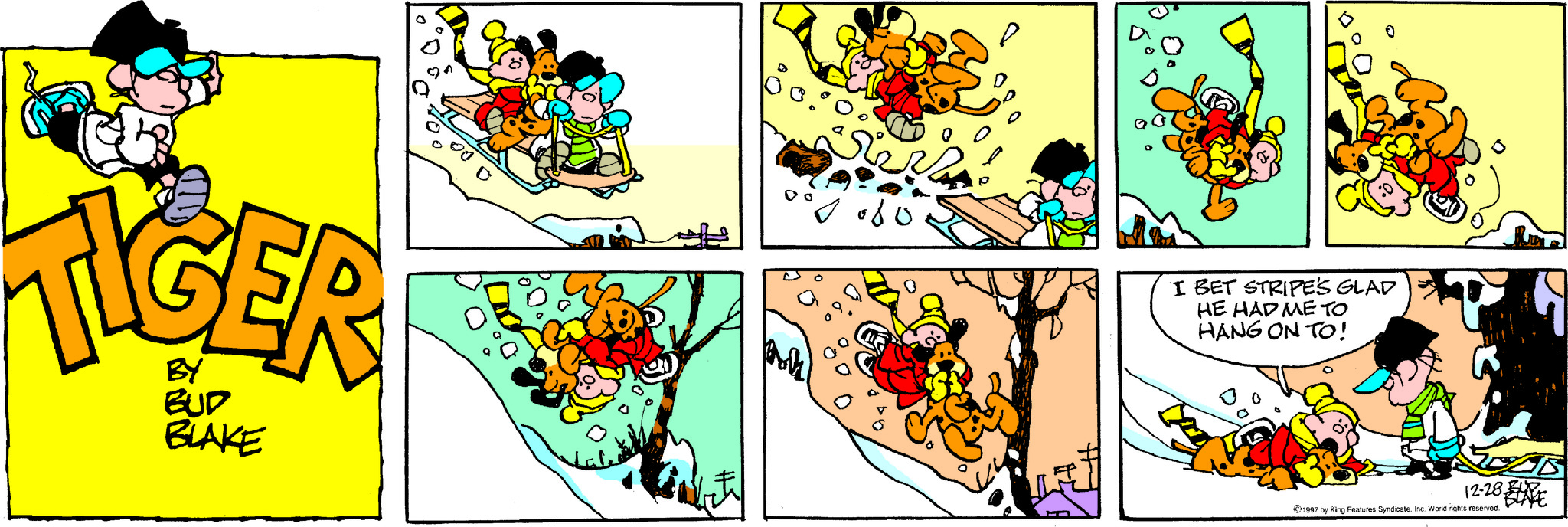 Tiger Comic Strip 2025-12-28 | Comics Kingdom