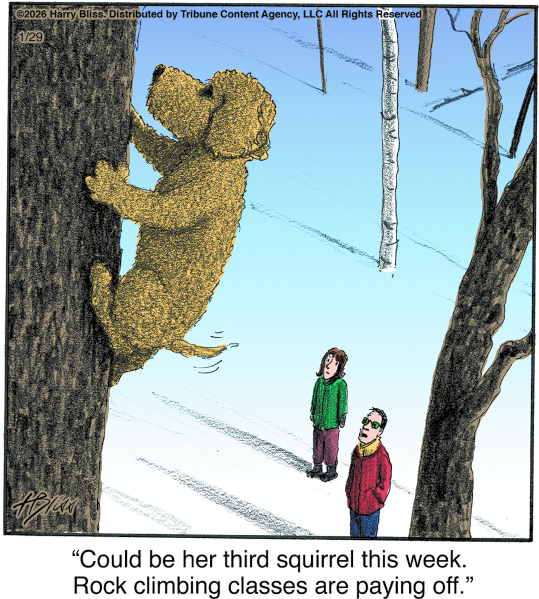 Bliss Comic Strip 2026-01-29 | Comics Kingdom