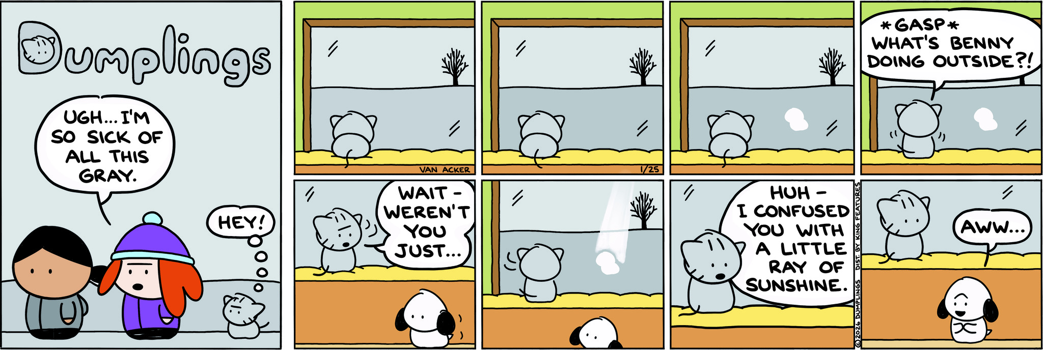 Dumplings Comic Strip 2026-01-25 | Comics Kingdom