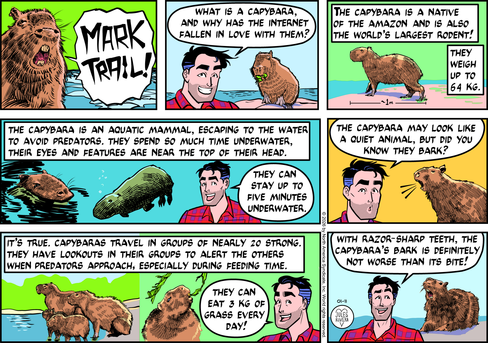 Mark Trail Comic Strip 2026-01-11 | Comics Kingdom