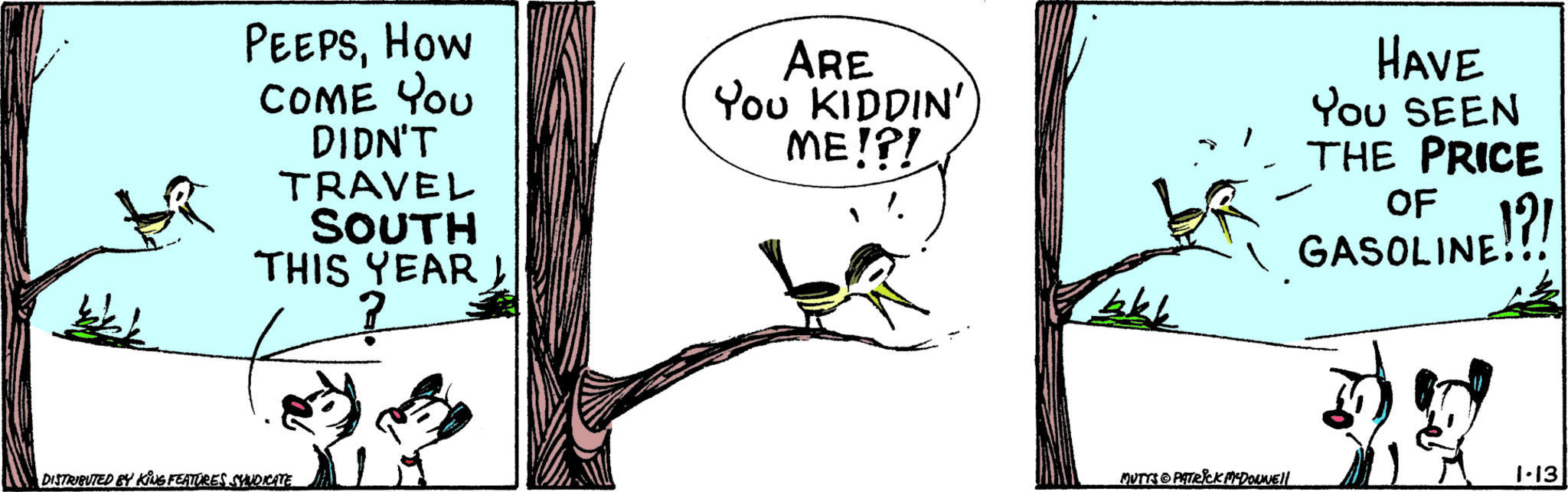 Mutts Comic Strip 2026-01-13 | Comics Kingdom