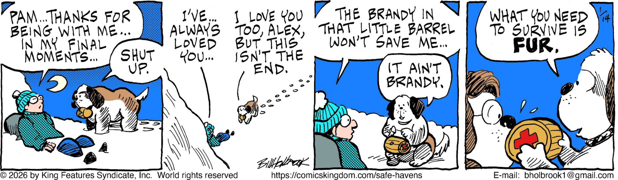 Safe Havens Comic Strip 2026-01-14 | Comics Kingdom