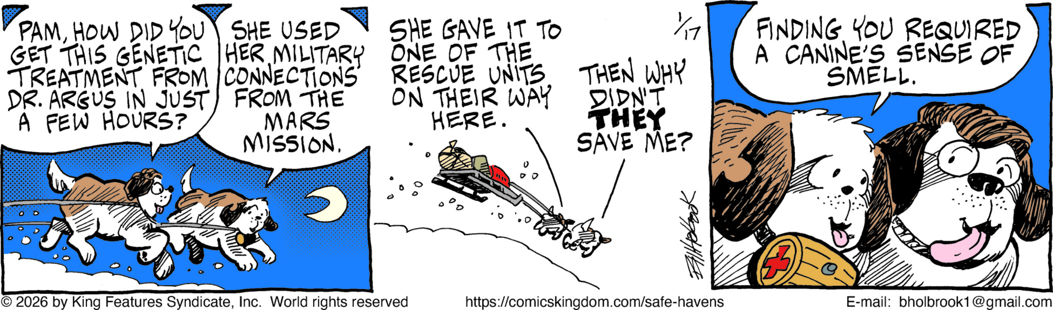 Safe Havens Comic Strip 2026-01-17 | Comics Kingdom