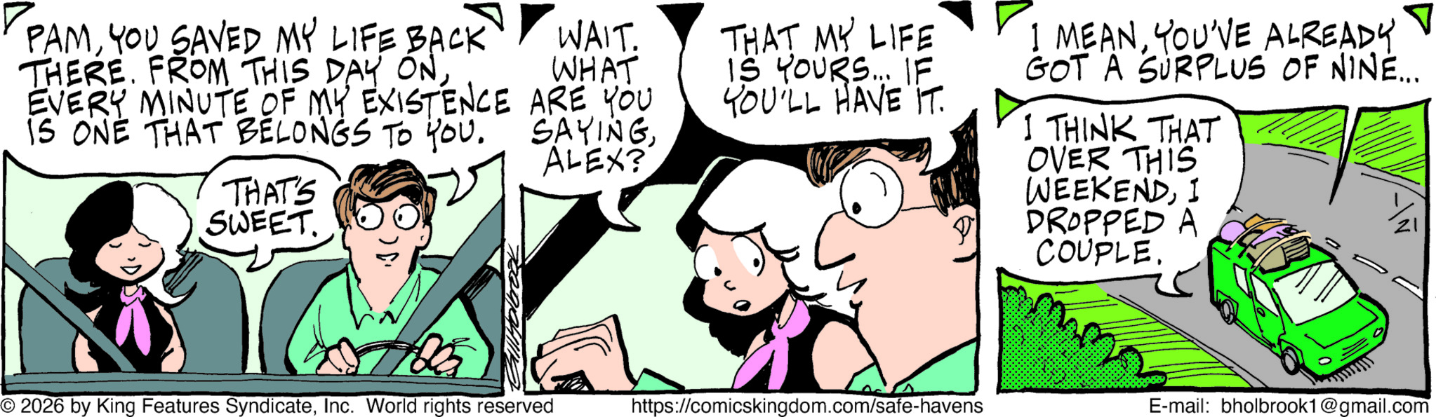 Safe Havens Comic Strip 2026-01-21 | Comics Kingdom