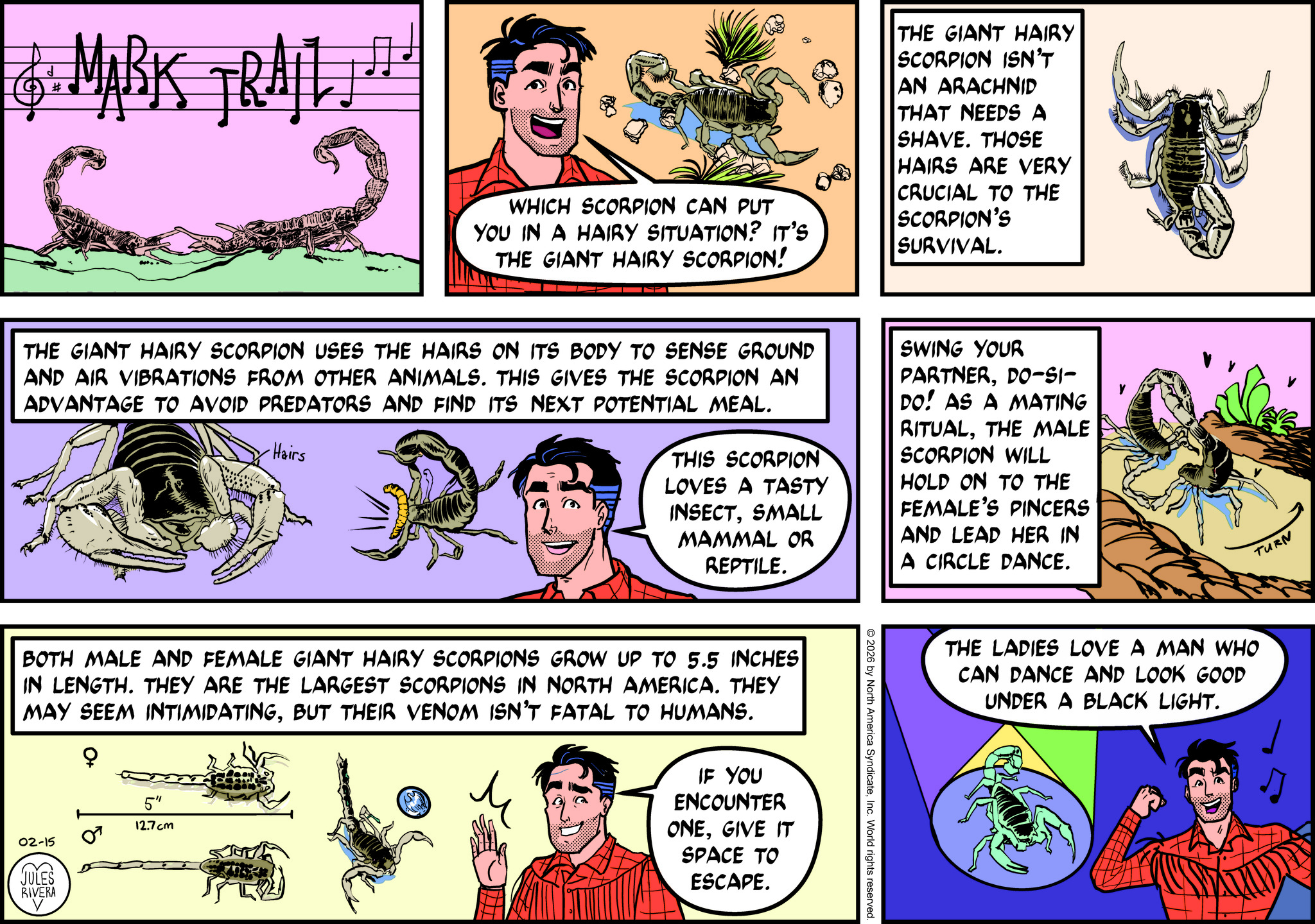 Mark Trail Comic Strip 2026-02-15 | Comics Kingdom