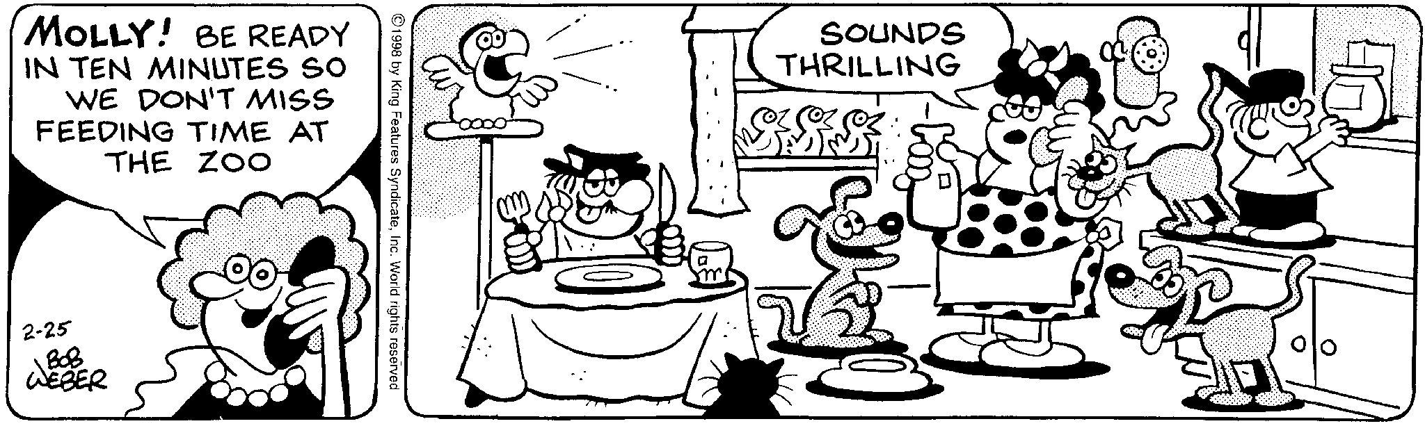 Moose And Molly Comic Strip 2026-02-25 | Comics Kingdom
