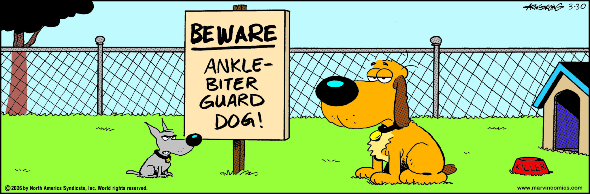 Marvin Comic Strip 2026-03-30 | Comics Kingdom